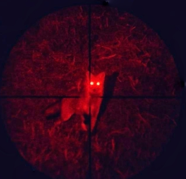 Arizona Predator Hunting Outfitters - AZ Predator Night Hunts, Guided ...